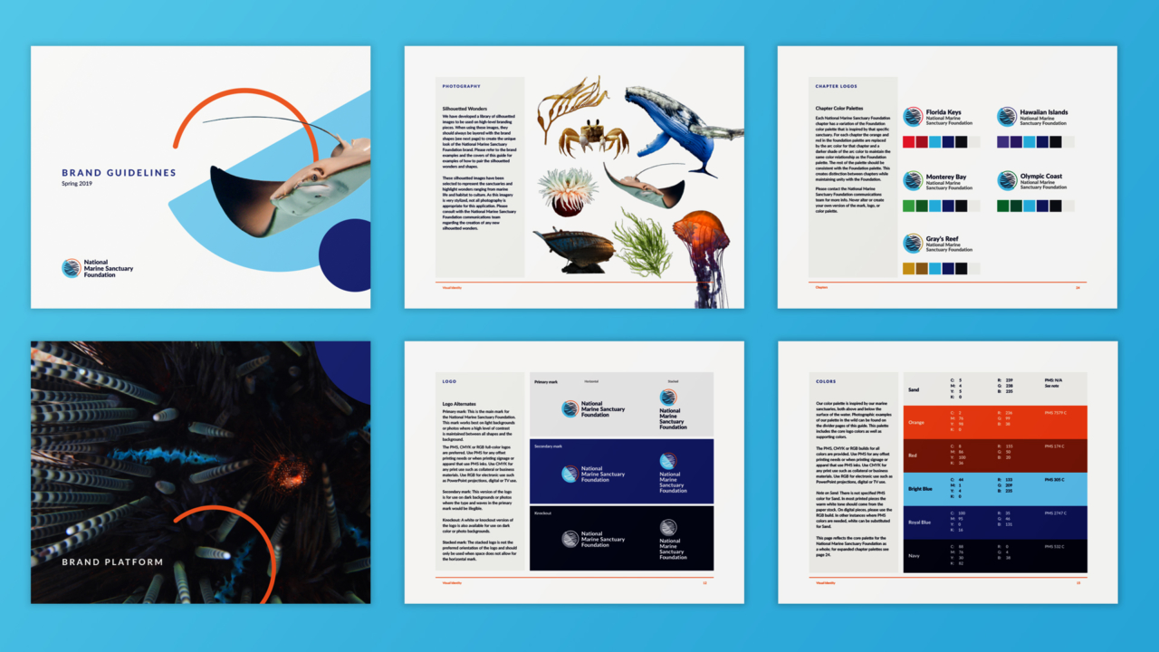 Repositioning a Nonprofit for the Future - GMMB: For What Matters